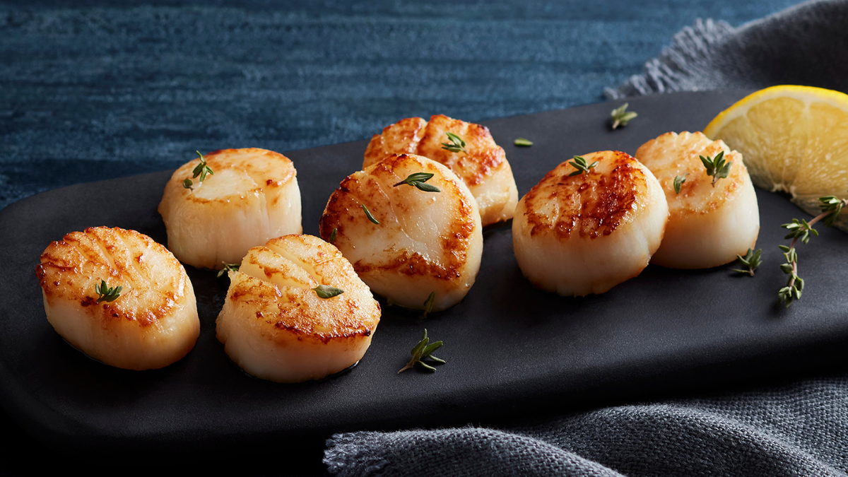 Scallops | Atlantic Sea Scallops | Shellfish | True North Seafood